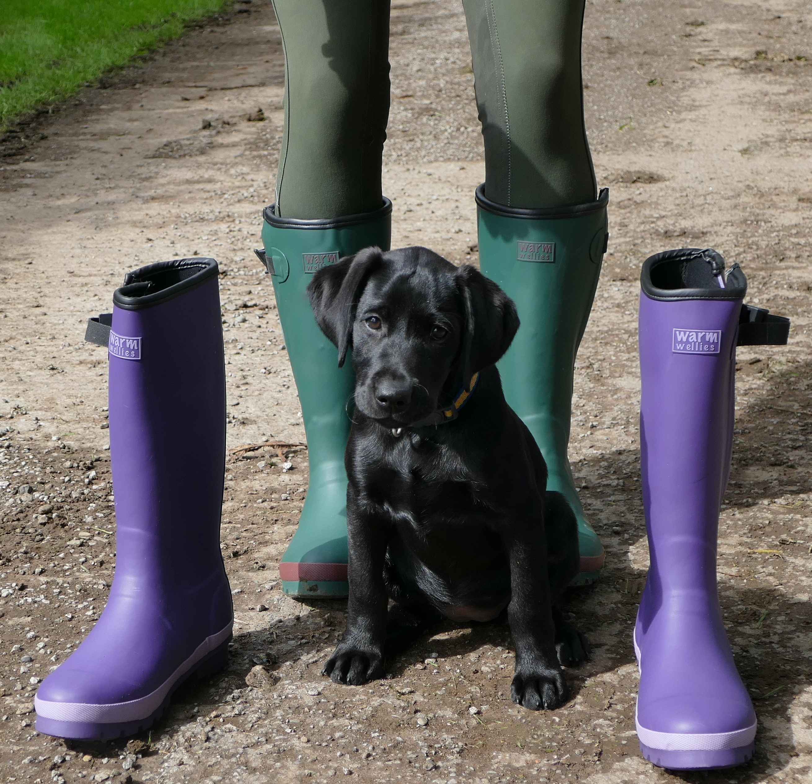 Welly Wanderers | The Warm Welly Company